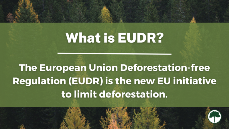 All About EUDR | American Green Consulting